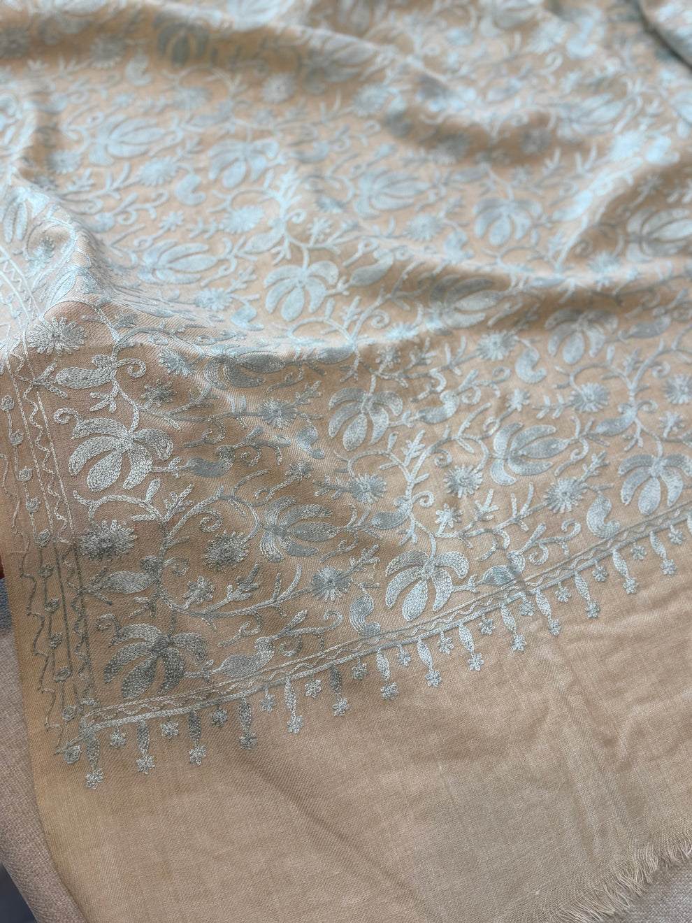 Skin With Light Blue Pashmina Embroidered Shawl | Kashmiri Aar Work Em ...